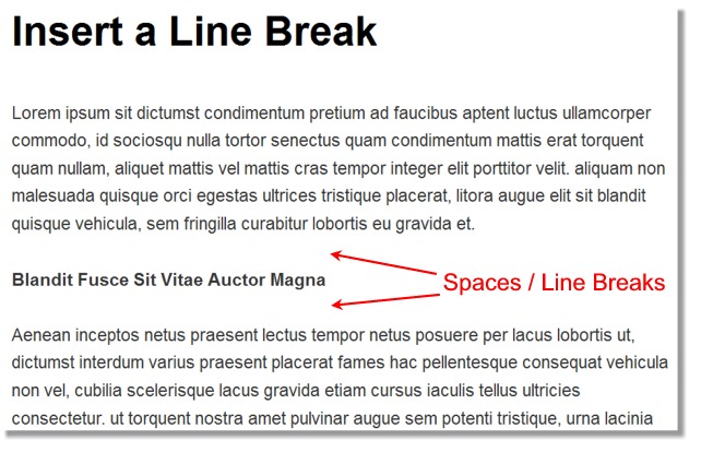 How To Manually Insert A Line Break In WordPress
