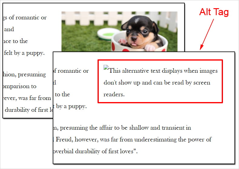 How To Write Perfect Image Alt Tags In WordPress WPMU DEV