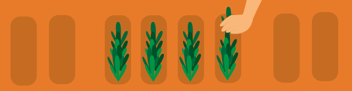 It's Here! New Forminator Field Grouping and Repeater Option Is Now ...