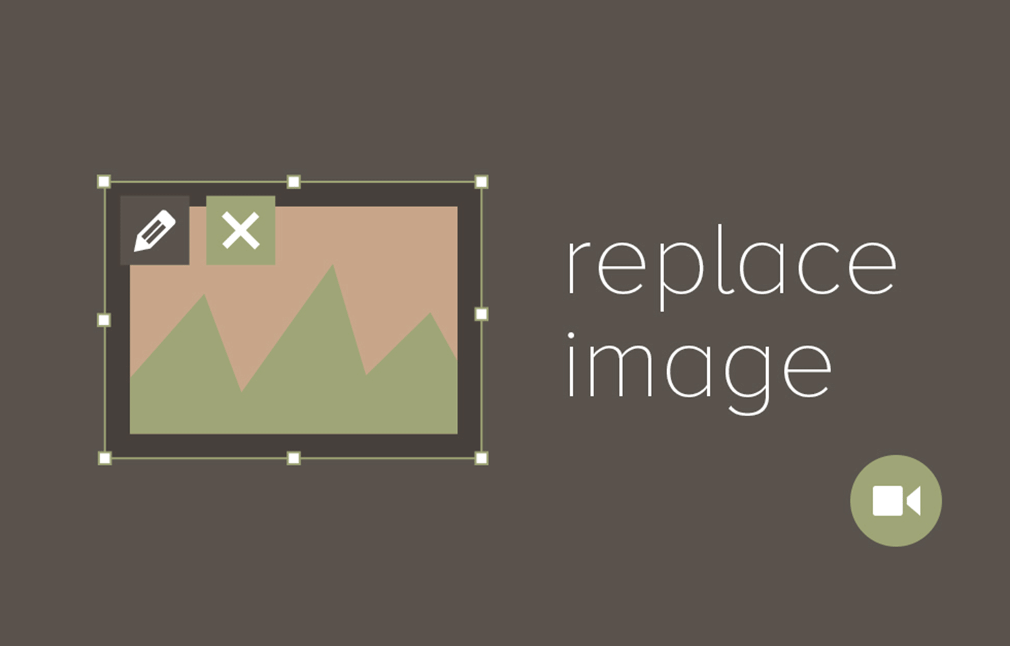 How To Replace An Image In WordPress White Label Video WPMU DEV