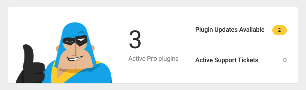 Wpmu Dev Dashboard Plugin Usage Documentation Wpmu Dev