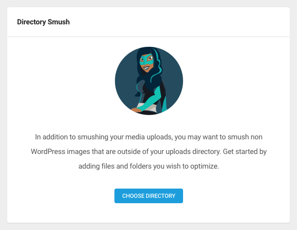 Smush Image Optimization Plugin Usage Documentation | WPMU DEV