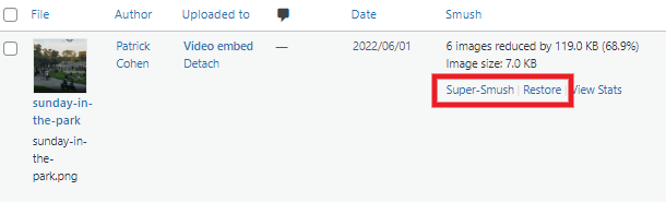 Smush Image Optimization Plugin Usage Documentation | WPMU DEV