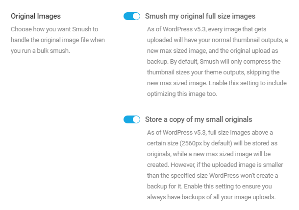Smush Image Optimization Plugin Usage Documentation | WPMU DEV