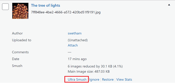 Smush Image Optimization Plugin Usage Documentation | WPMU DEV