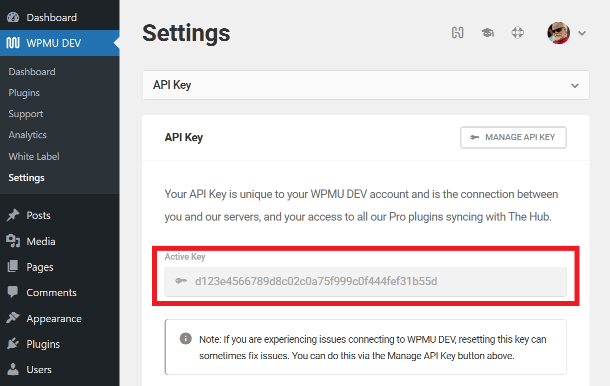 WPMU DEV Content Delivery Network (CDN) | WPMU DEV