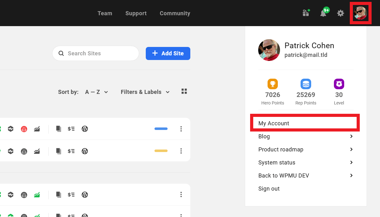 Your WPMU DEV Account | WPMU DEV