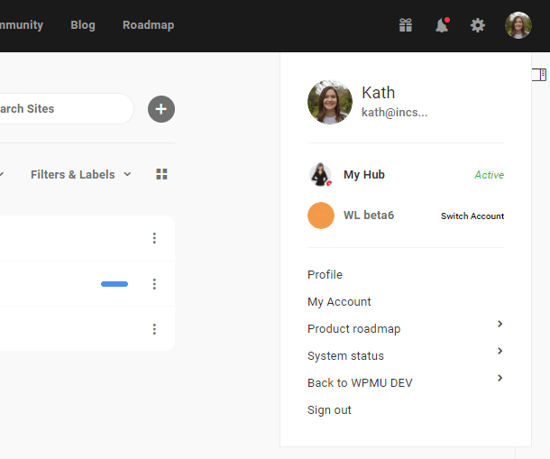 Hub 2.0 My Websites Overview | WPMU DEV