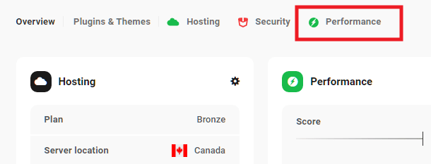 Hub 2.0 Performance Module | WPMU DEV