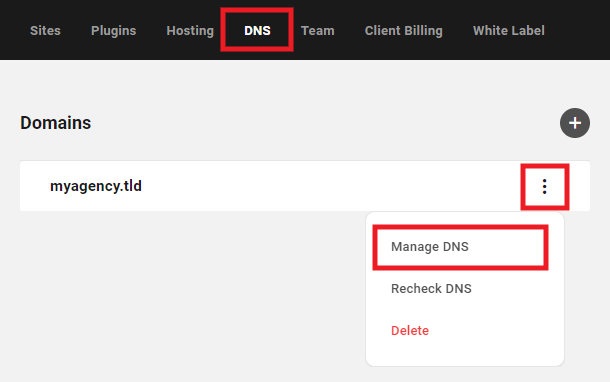 Managing Domains and DNS Records | WPMU DEV Hub