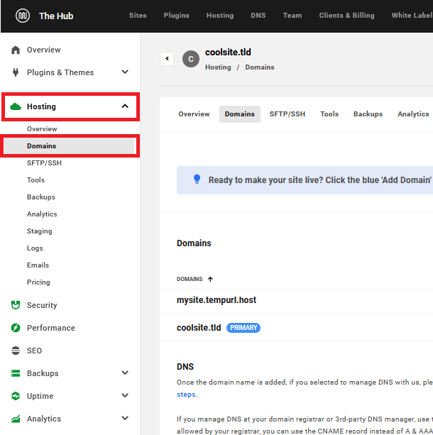 Managing Domains and DNS Records | WPMU DEV Hub