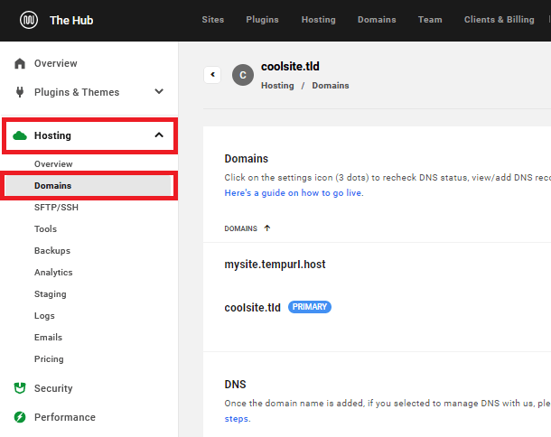 Managing Domains and DNS Records | WPMU DEV Hub