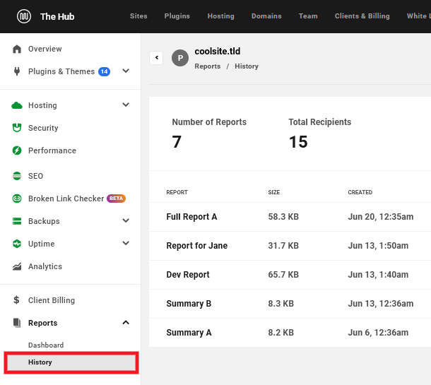 Hub 2.0 Reports Module | WPMU DEV