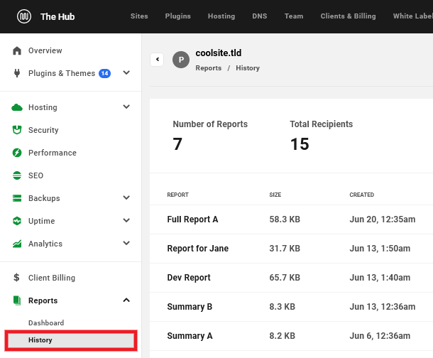 Hub 2.0 Reports Module | WPMU DEV