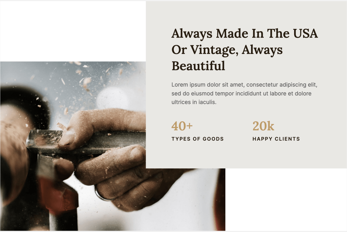 WordPress Ready-Made & Custom Templates | Simplify Your Project